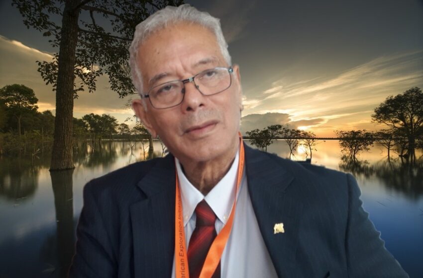 Theo Wong教授新书发布会 - 洵南中文网｜广义堂
